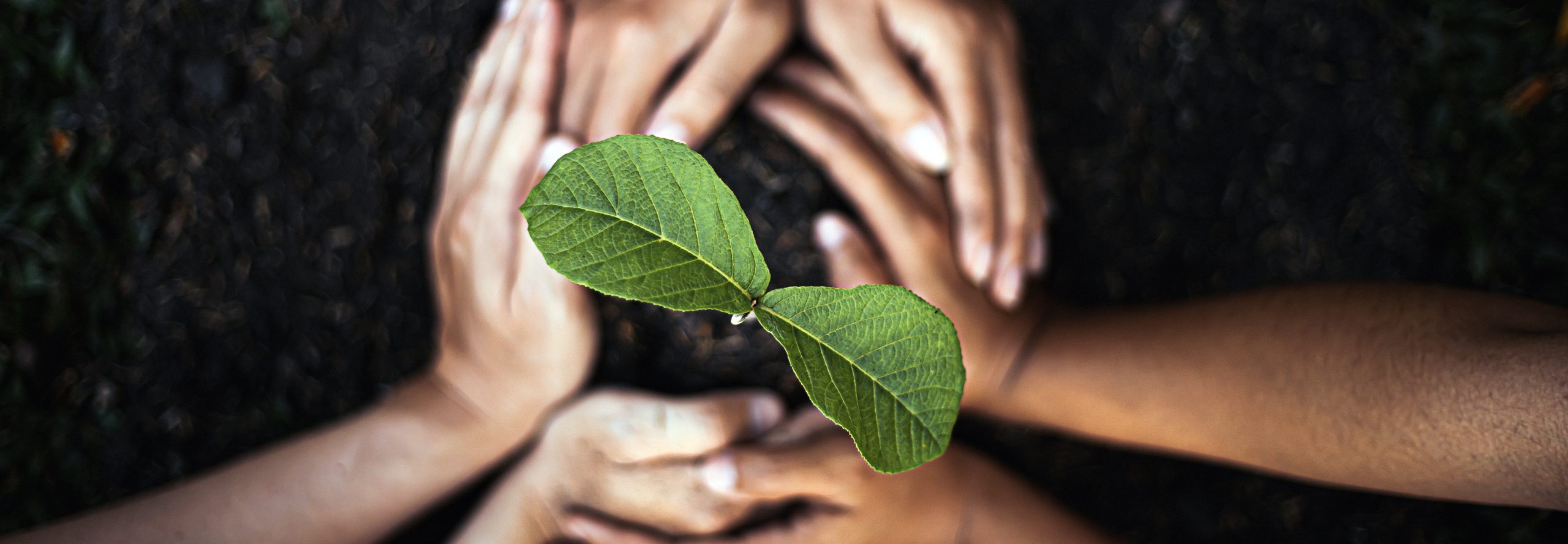 Home - Nonprofit Connect